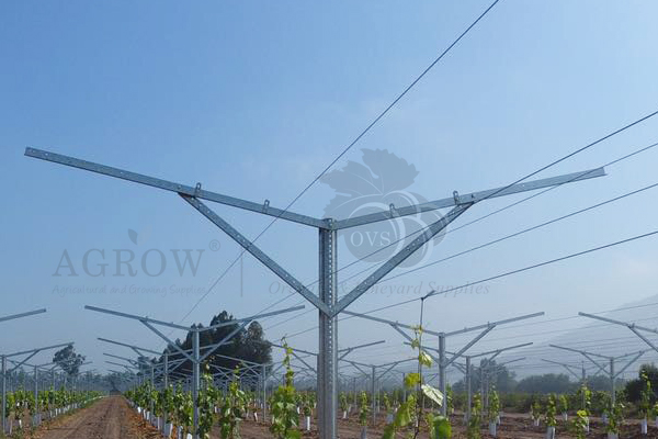 Quality Flat Gable Trellis Crossarm Manufacturer and Supplier from ...
