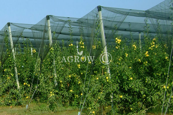 Quality Agtek+ Gable Orchard Anti-Hail Netting System Manufacturer and ...