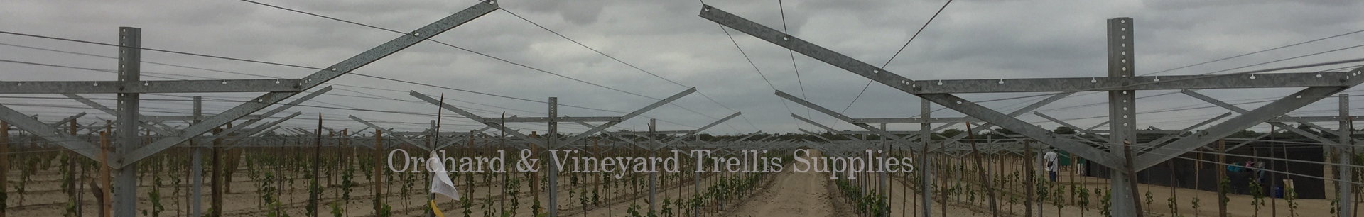Quality Vertical Shoot Positioning (VSP) Trellis System Manufacturer ...
