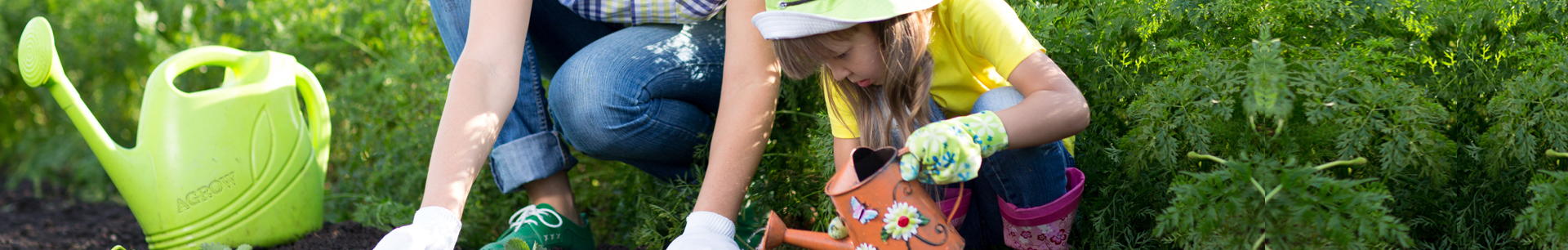 Quality Vertical Shoot Positioning (VSP) Trellis System Manufacturer ...